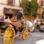 Seville: Authentic and Romantic Horse-Drawn Carriage Ride - Who Would Enjoy This Tour