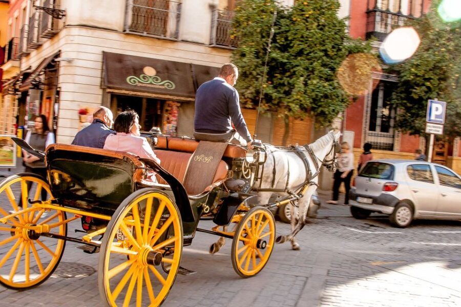 Seville: Authentic and Romantic Horse-Drawn Carriage Ride - Who Would Enjoy This Tour