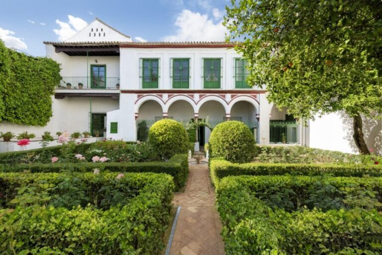 Seville: Bucarelli Palace Entry Ticket - The Practicalities: What to Expect