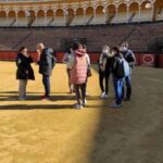 Seville: Bullring Guided Tour with a Skip-the-Line Ticket - The Value of This Tour