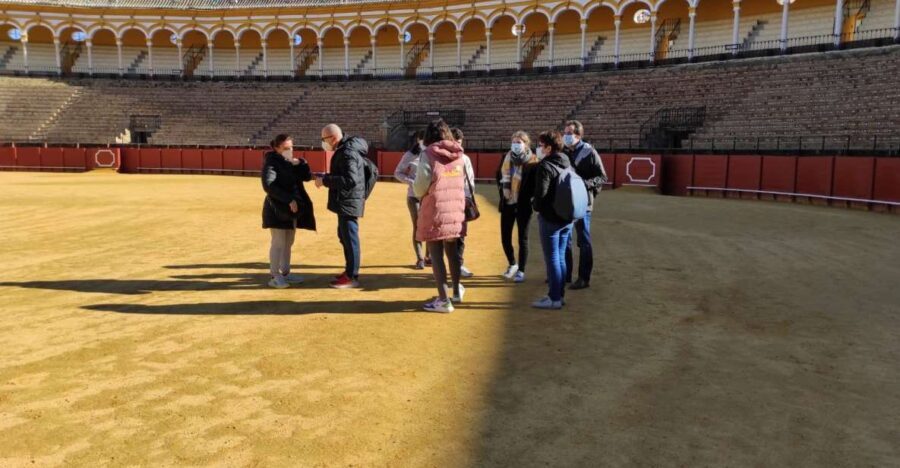 Seville: Bullring Guided Tour with a Skip-the-Line Ticket - The Value of This Tour