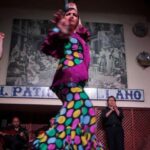 Seville: El Patio Sevillano Flamenco Show Ticket & Dinner - Key Points