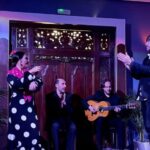 Seville: Flamenco Show at Tablao Almoraima in Triana - Who Should Attend?