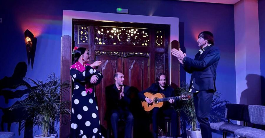 Seville: Flamenco Show at Tablao Almoraima in Triana - Who Should Attend?