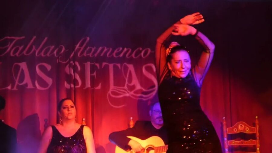 Seville: Flamenco Show & Roof Dinner with Cathedral Views - Authenticity and Quality – What Do the Reviews Say?
