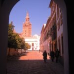 Seville Full-Day Sightseeing Tour from Granada - What Makes This Tour Stand Out