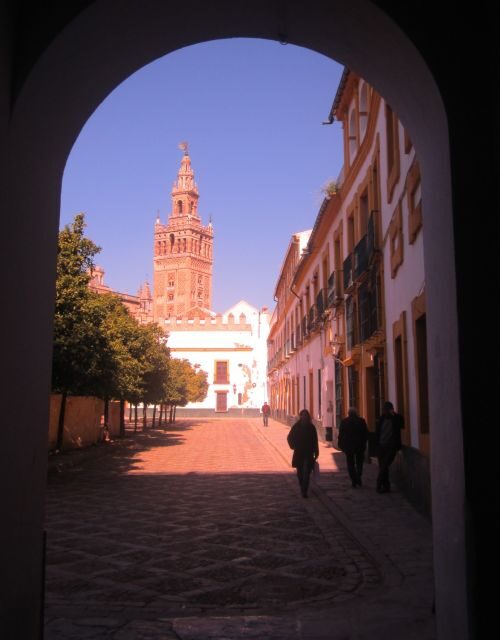 Seville Full-Day Sightseeing Tour from Granada - What Makes This Tour Stand Out