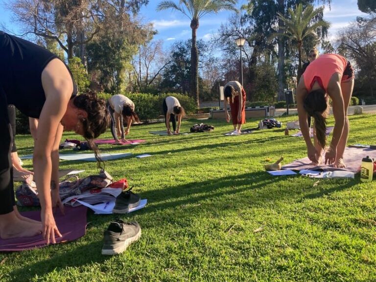Seville: Group Yoga classes All levels - in French - Who Will It Suit?