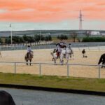 Seville: Horse's Show Entry Ticket. Optional Stud Farm Visit - An Overview of the Experience