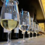 Seville: Jerez, Cadiz Wine Tasting with Optional Horse Show - What Do Travelers Say?