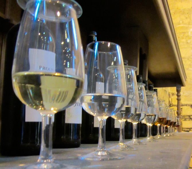 Seville: Jerez, Cadiz Wine Tasting with Optional Horse Show - What Do Travelers Say?