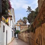 Seville Jewish Quarter Tour (Private Tour) - Plaza de Dona Elvira and Its Stories