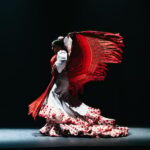 Seville: Live Flamenco Dancing Show Ticket at the Theater - The Experience in Detail: What to Expect