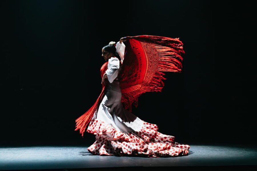 Seville: Live Flamenco Dancing Show Ticket at the Theater - The Experience in Detail: What to Expect