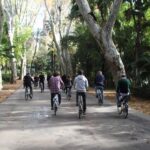 Seville: María Luisa Gardens 3Hour Tour with Picnic Lunch - Practical Details & Tips