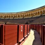 Seville: Plaza de Toros and Barrio Santa Cruz Tour - Final Thoughts
