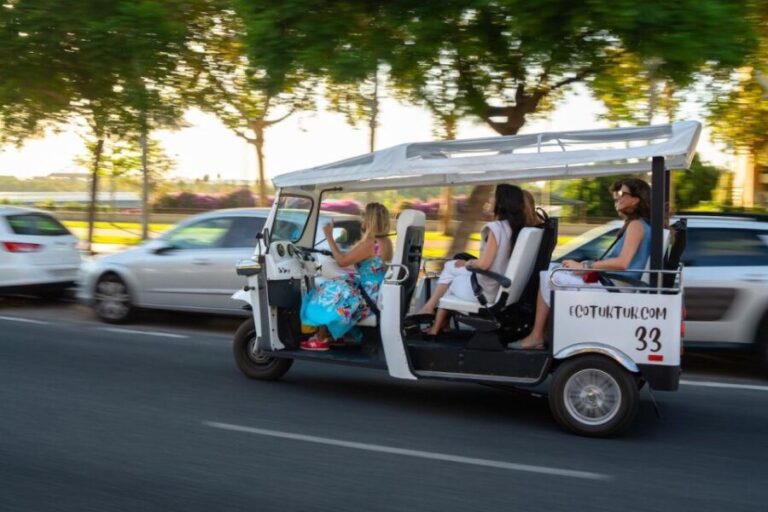 Seville: Private City Tour by Eco Tuk Tuk - The Itinerary Breakdown