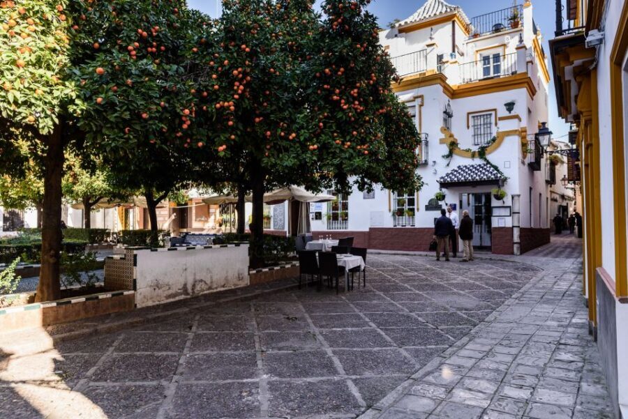 Seville: Santa Cruz Private Tour - Who Will Love This Tour?
