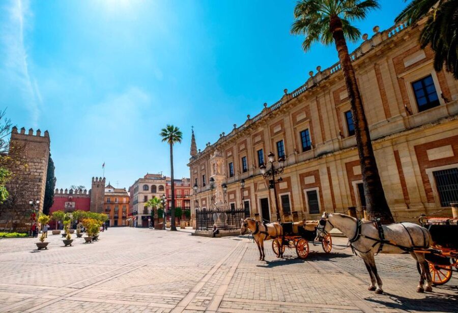 Seville: Small-Group City Highlights Walking Tour - Who Should Book This Tour?