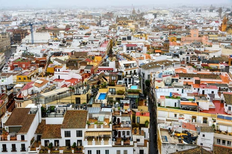 Seville: Sunset Roof Top Walking Tour - Authentic Reviews: What Travelers Say