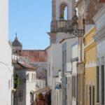 Shared Departure Transfer: Algarve Hotels to Faro Airport - Who Is This Transfer Best For?