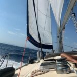 Shared Half Day Cruise in Athenian Riviera - Who Will Love This Tour?