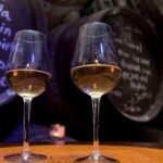 Sherry Experience in the Vineyard - The Value of the Tour