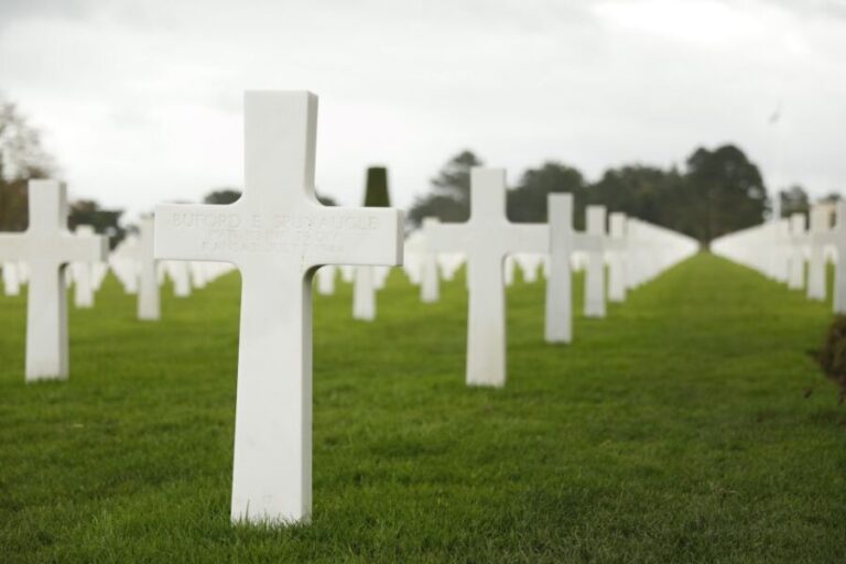 Shore excursion Normandy Private Tour with a Licensed Guide - The Experience in Action: What You Can Expect