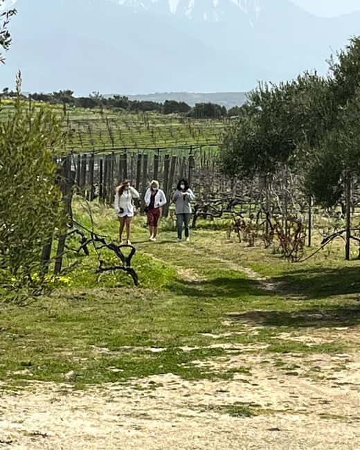 Shuttle & Wine Experience at Lyrarakis Winery - Visiting Lyrarakis Winery