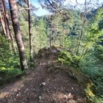 Sibiu: Cindrel Mountains Hike with Traditional Brunch - The Detailed Itinerary: What to Expect