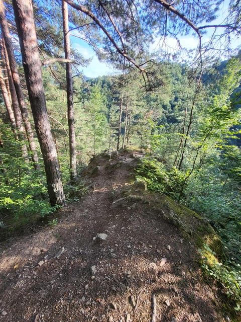 Sibiu: Cindrel Mountains Hike with Traditional Brunch - The Detailed Itinerary: What to Expect
