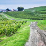 Sibiu, UNESCO & wine tasting tour (from Cluj) - In-Depth Look at the Itinerary