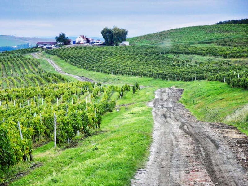 Sibiu, UNESCO & wine tasting tour (from Cluj) - In-Depth Look at the Itinerary