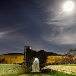 Sicilian cooking class in the historic baglio Florio Adamo - A Closer Look at the Experience