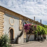 Sicilian Soul: Winery Tour, Wine & Food Tasting in Catania - What’s Included? A Tasty and Informative Mix
