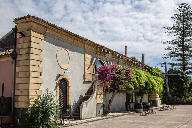 Sicilian Soul: Winery Tour, Wine & Food Tasting in Catania - What’s Included? A Tasty and Informative Mix