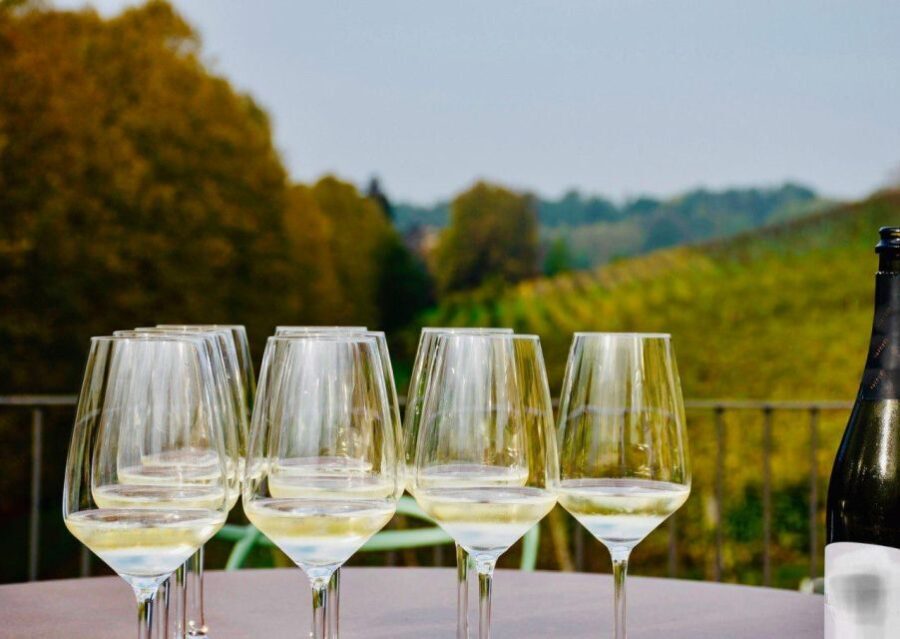 Sicily: Etna Volcano and Wine Tasting Tour - Visiting the Silvestri Craters