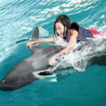 Side/Alanya: Swimming with Dolphins and Dolphin Show - Practical Tips & Considerations