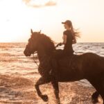 Side: Horseback Riding Tour in Nature with Transfer - An Overview of the Experience