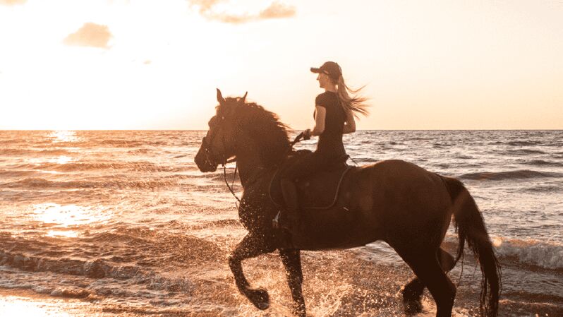 Side: Horseback Riding Tour in Nature with Transfer - An Overview of the Experience