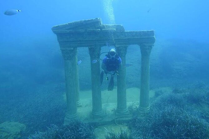 Side Scuba Diving Adventure with Lunch & Roundtrip Transfer - The Experience Provider: TripVentura