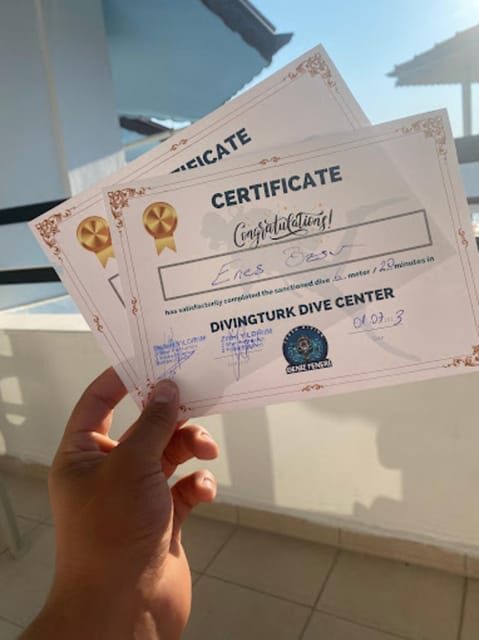 Side: Scuba Diving & Under Water Museum with Hotel Transfer - The Itinerary: A Step-by-Step Breakdown