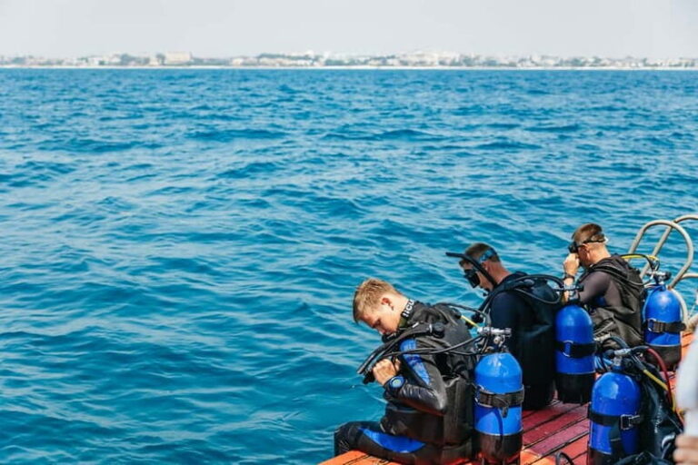 Side: Scuba Diving, Underwater Museum, 2 Dives incl. Lunch - Exploring the Itinerary: What You Can Expect