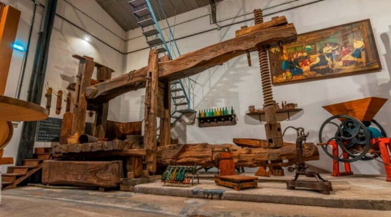 Sidra Vda. de Angelón: guided visit to a cider mill with tasting - Who is This Tour Best For?