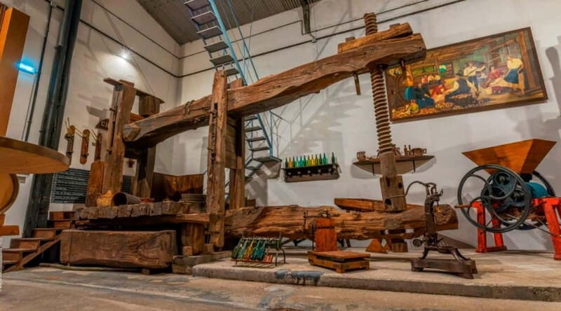 Sidra Vda. de Angelón: guided visit to a cider mill with tasting - Who is This Tour Best For?