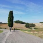 Siena: Chianti Classico Guided Cycling Tour - The Itinerary in Detail