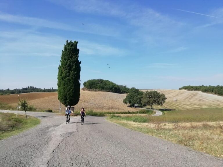 Siena: Chianti Classico Guided Cycling Tour - The Itinerary in Detail