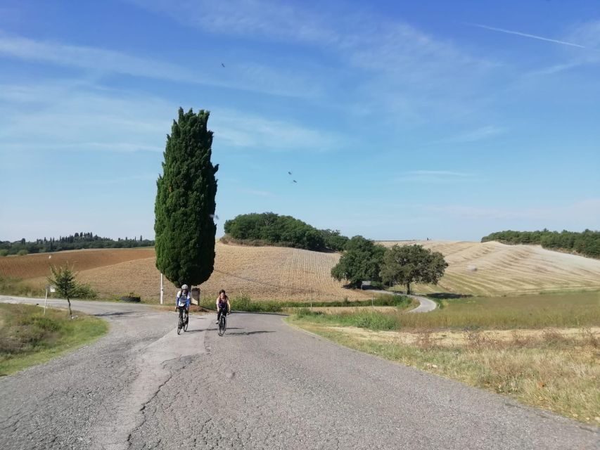 Siena: Chianti Classico Guided Cycling Tour - The Itinerary in Detail