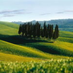 Siena: Guided visit of the city in German - What Makes This Tour Stand Out
