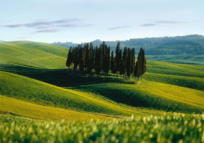 Siena: Guided visit of the city in German - What Makes This Tour Stand Out